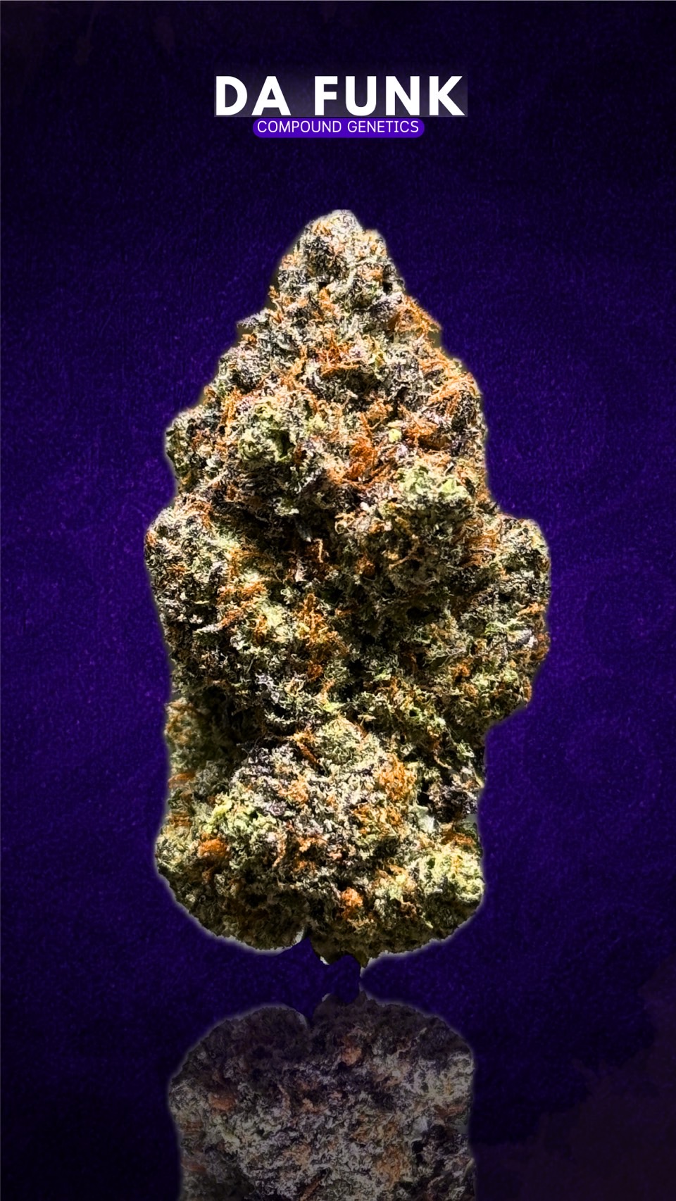 Thai Top Shelf: Online Cannabis Dispensary in Thailand