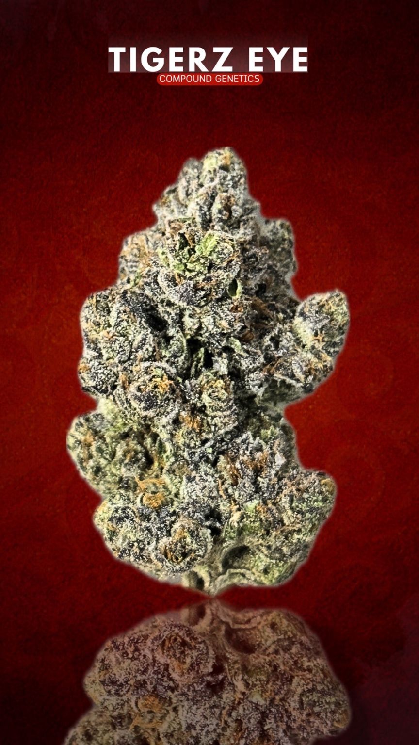 Thai Top Shelf: Online Cannabis Dispensary in Thailand